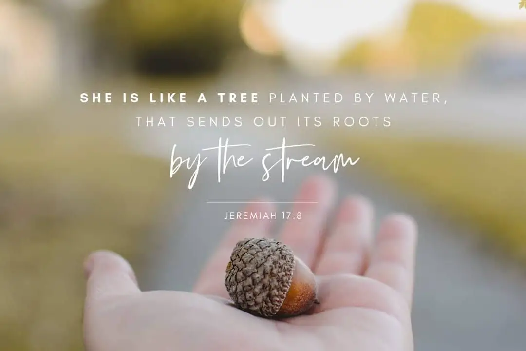 The Symbolic Significance of Acorns in the Bible - John Baptist Church