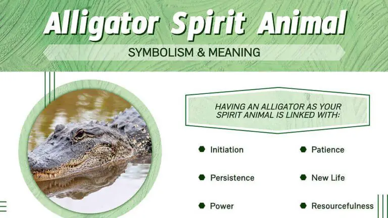 The Biblical Significance of Alligators in Dreams: Unveiling Spiritual ...