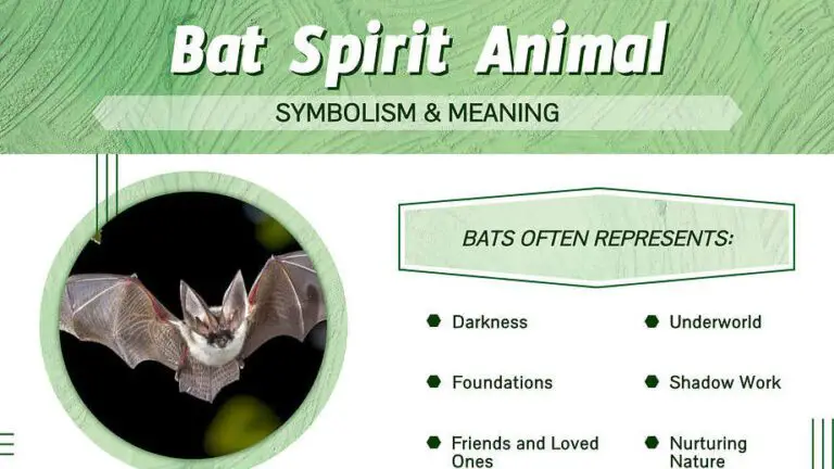 The Biblical Significance of Bats: Unveiling their Hidden Symbolism ...