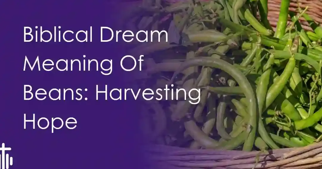 The Spiritual Significance of Beans in Dreams: Exploring the Biblical ...