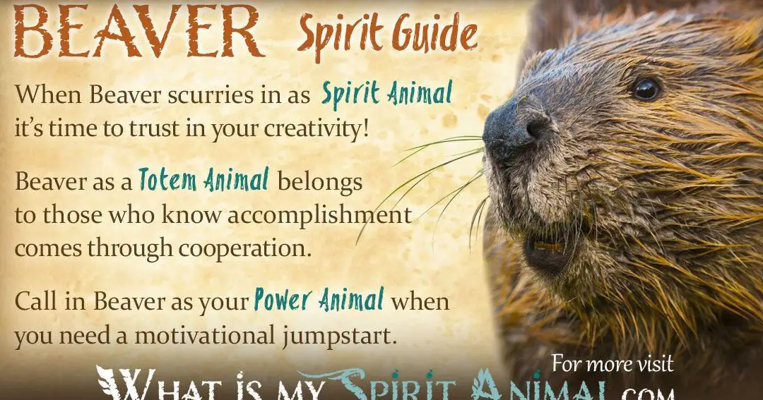 Unveiling the Biblical Significance of the Beaver: Exploring its ...