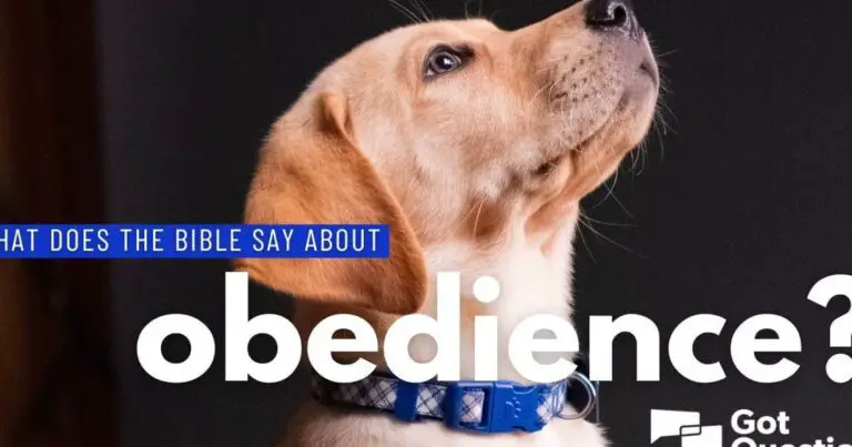 The Significance of Casting Lots in the Bible: Exploring its Biblical ...