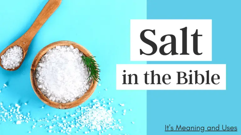 The Spiritual Significance of Salt in the Bible - John Baptist Church