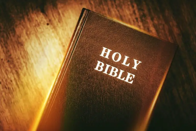 The Divine Significance of Rose of Sharon in the Bible - John Baptist ...