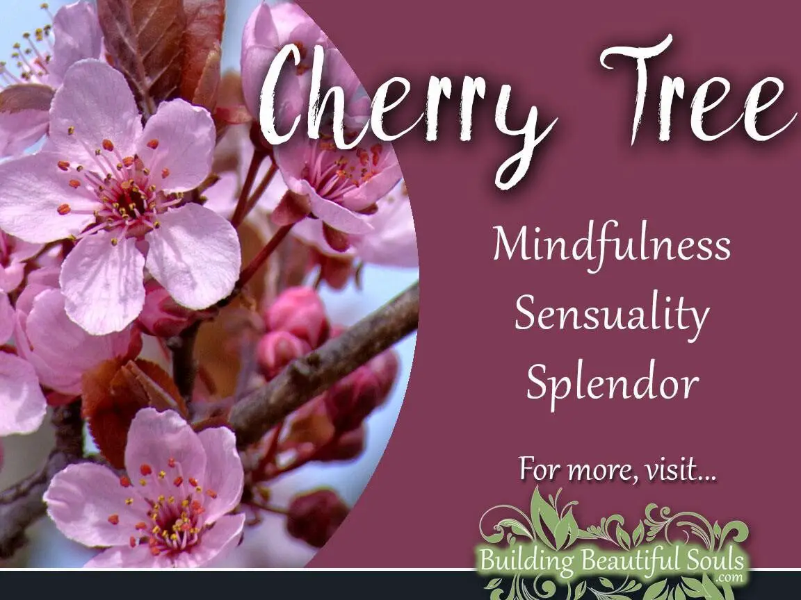 The Biblical Significance of Cherries: Exploring Hidden Symbolism ...