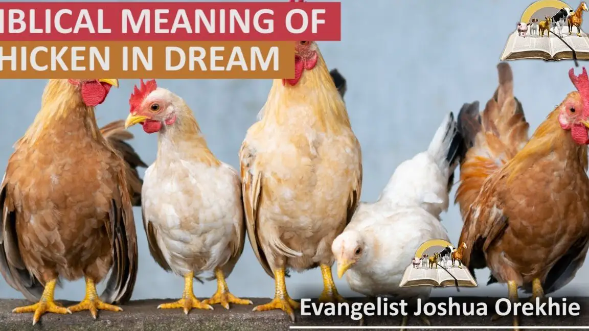 The Biblical Significance of Chicken: Unveiling Symbolism and Spiritual ...