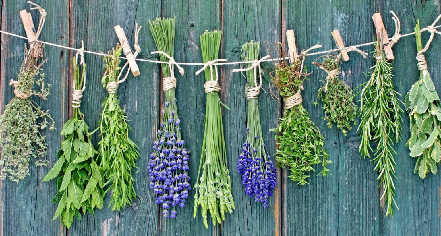 The Spiritual Significance of Spiders in the Bible - John Baptist Church