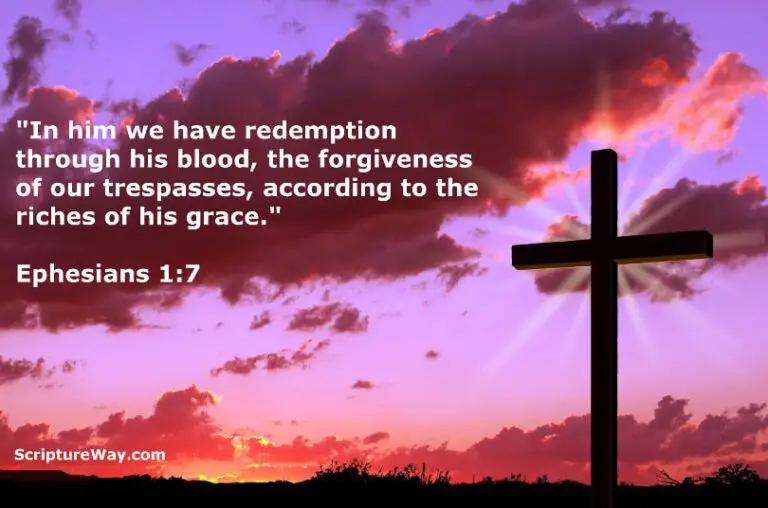 The Biblical Significance of the Daisy: Unveiling its Hidden Spiritual ...