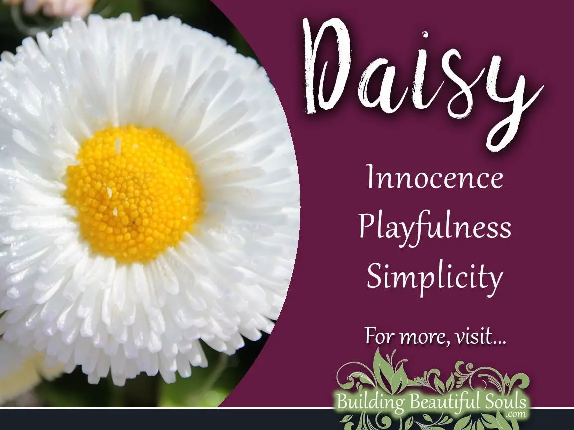 The Powerful Biblical Meaning of Azariah: A Divine Perspective - John ...