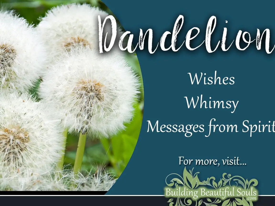 Unsurpassed Insights: Revealing the Biblical Meaning of Dandelion ...