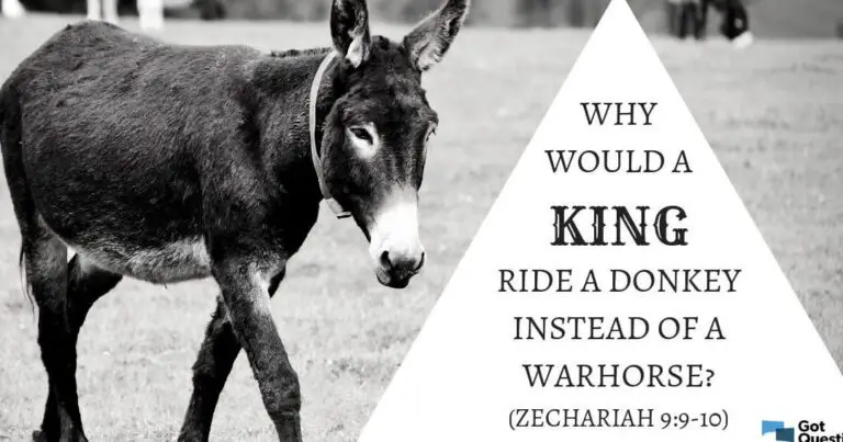 The Biblical Significance of the Donkey: Unveiling its Symbolism and ...
