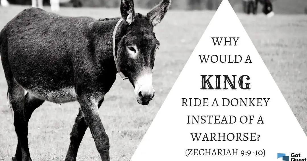 Biblical Significance of Sage: Unveiling its Spiritual Symbolism - John ...