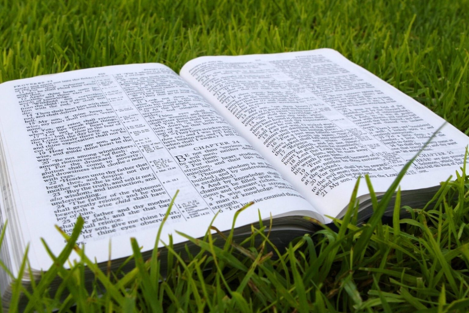 The Deeper Significance: Exploring the Biblical Meaning of Grass - John ...