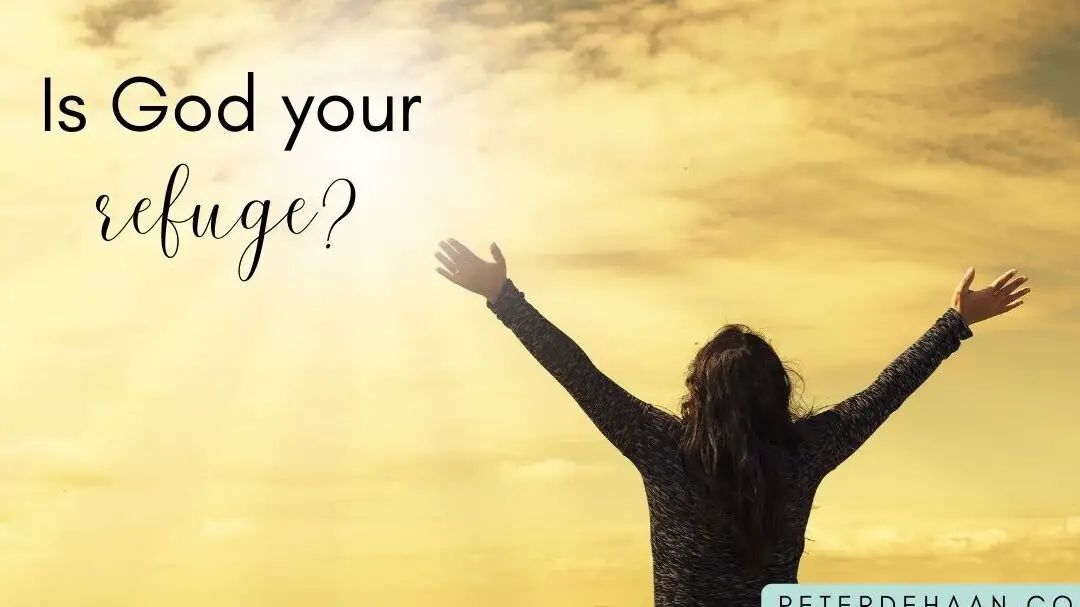 Biblical Insights: Understanding the Meaning of Refuge - John Baptist ...