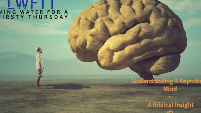 Biblical Insights: Wisdom, Knowledge, and Understanding - John Baptist ...