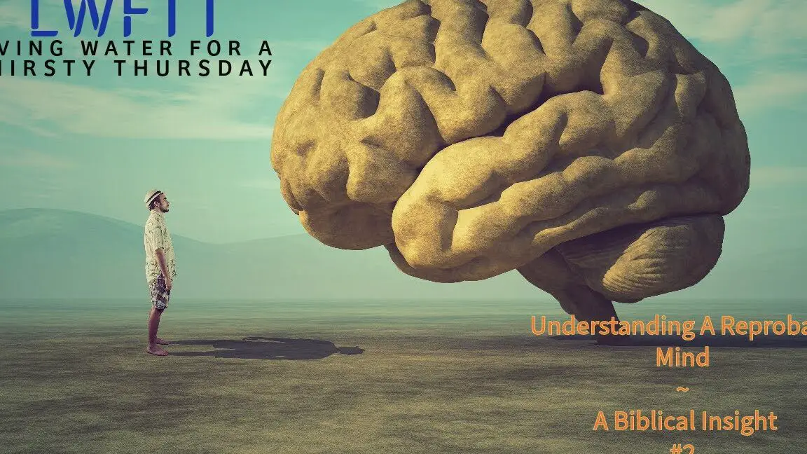 Biblical Insights: Wisdom, Knowledge, and Understanding - John Baptist ...