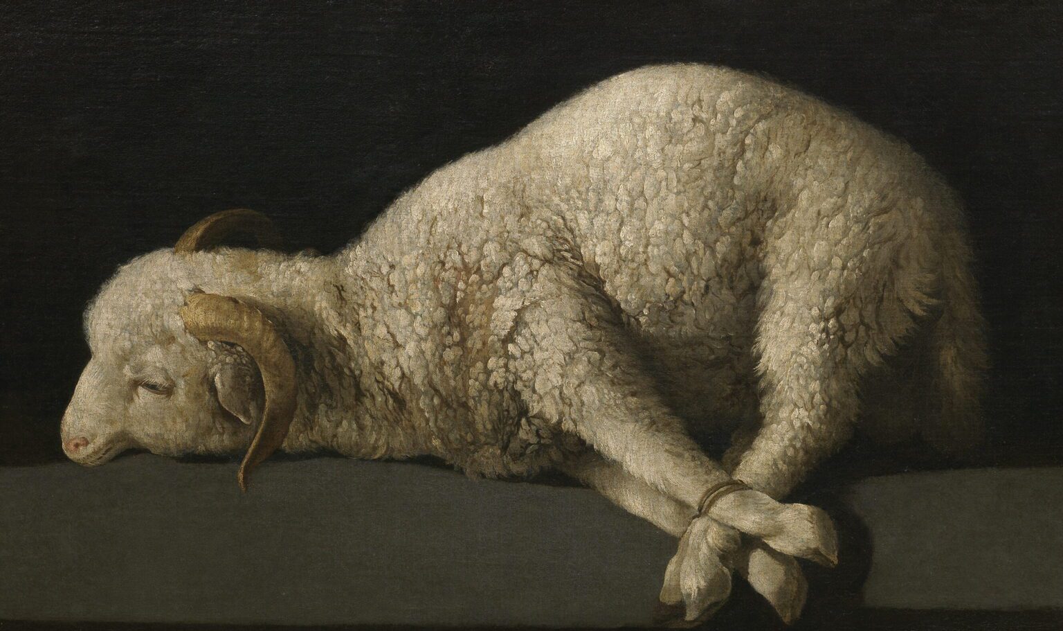 The Divine Symbolism: Unveiling the Biblical Meaning of Lamb of God ...
