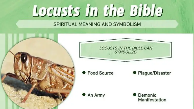 The Significance of Locusts in the Bible: Unveiling Their Biblical ...