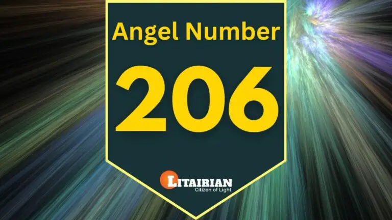 The Biblical Meaning of 206: Unveiling Hidden Symbolism - John Baptist ...