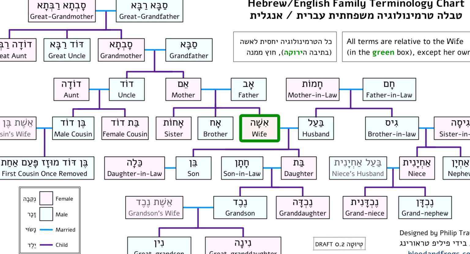 The Biblical Significance of Generation: Unveiling God's Plan for the ...