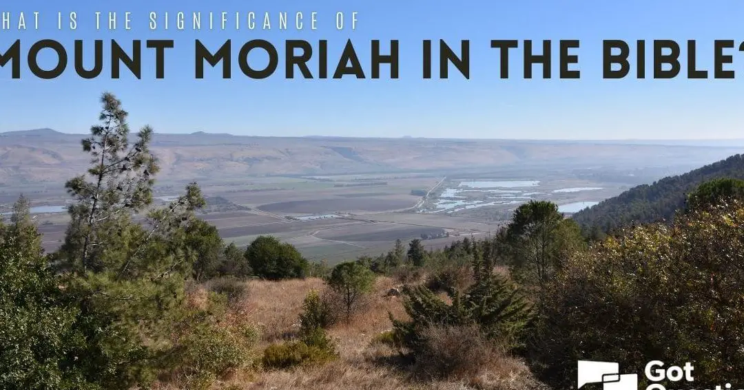 Biblical Significance of Sage: Unveiling its Spiritual Symbolism - John ...