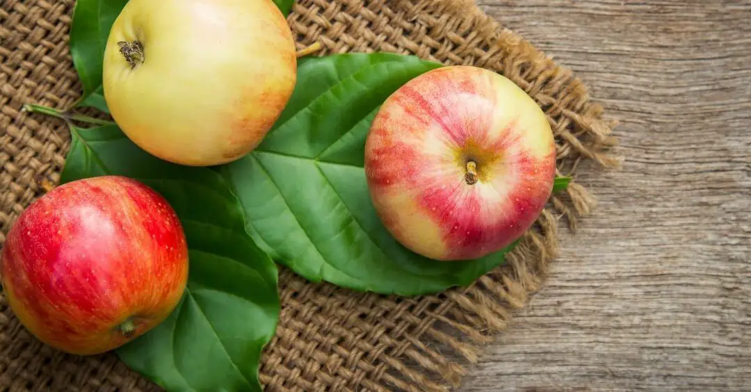 The Biblical Significance of the Number 3 - John Baptist Church