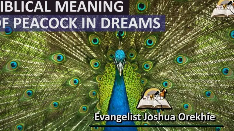 The Biblical Significance of Reproach: Understanding its Meaning in ...