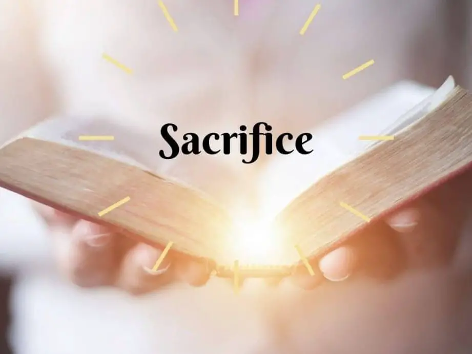 Biblical Significance Of Sage Unveiling Its Spiritual Symbolism John