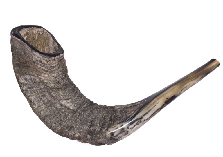 The Biblical Significance of Blowing the Shofar - John Baptist Church