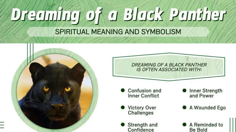 The Spiritual Significance of a Black Panther in Dreams: Unveiling the ...