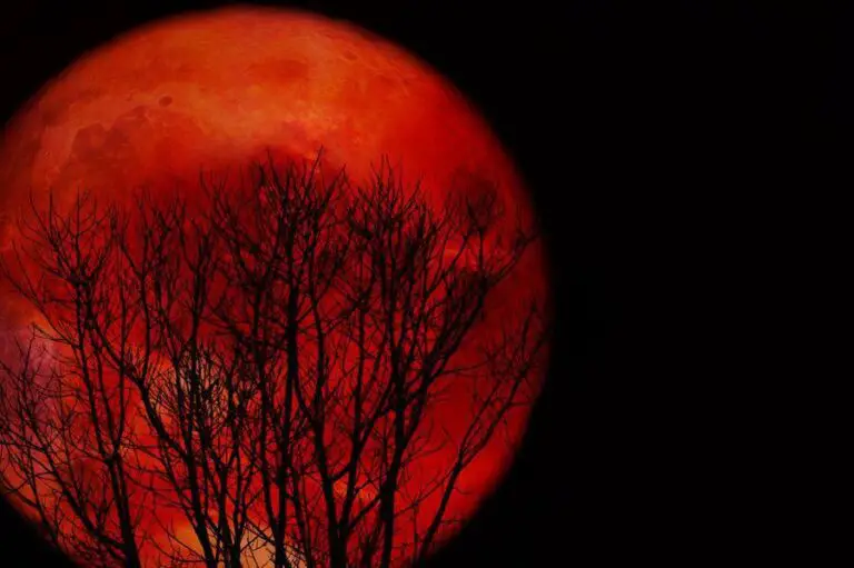 The Biblical Significance of Blood: Unveiling its Symbolism and ...