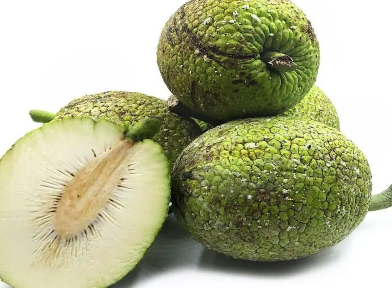 The Biblical Significance of the Crucible: Unveiling Spiritual ...