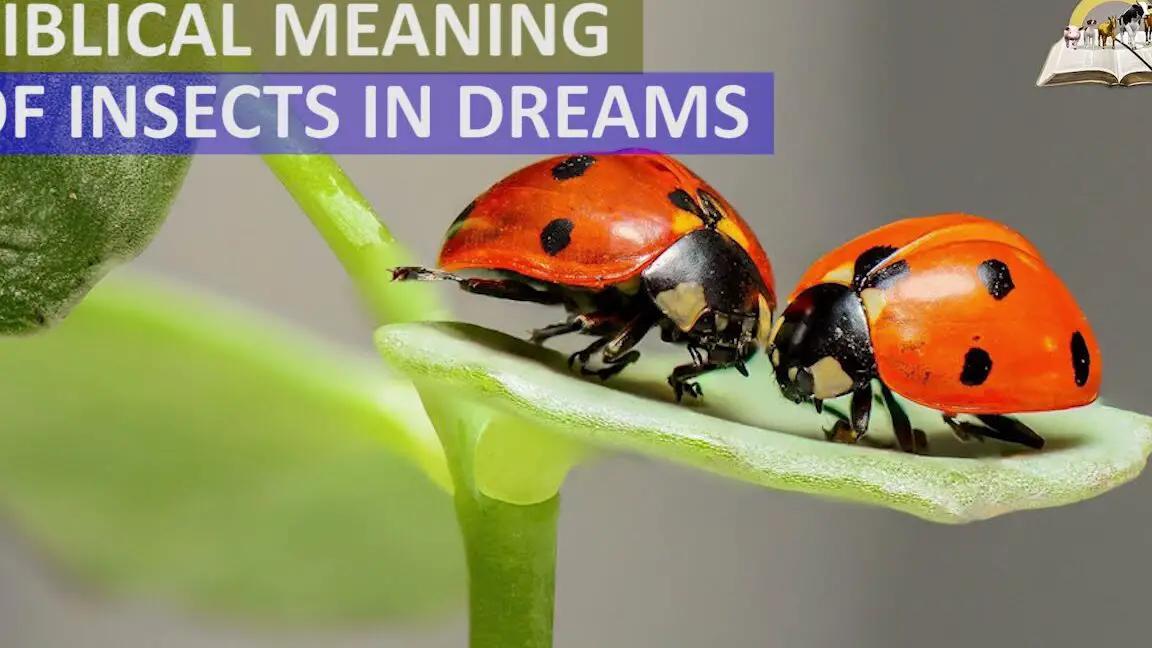 The Spiritual Significance of Bugs in Dreams: Exploring the Biblical ...