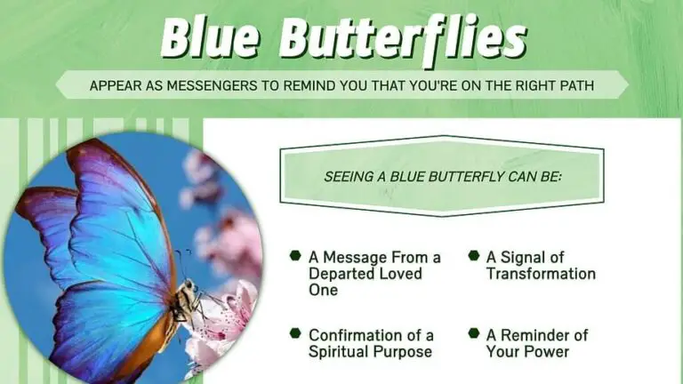 The Spiritual Symbolism: Unveiling the Biblical Meaning of Butterflies ...