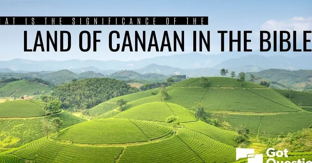 The Biblical Significance of the Phoenix: A Divine Symbol of ...