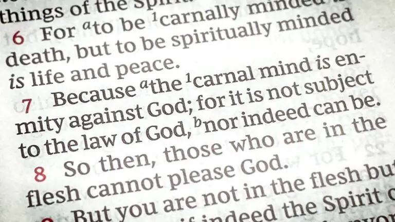 The Biblical Significance of Cassia: Unveiling Deep Spiritual Symbolism ...