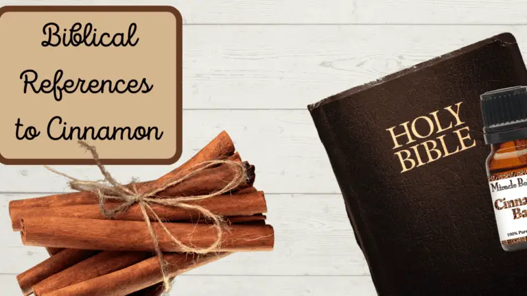 The Biblical Significance of Being Awake: Exploring Spiritual Awakening ...