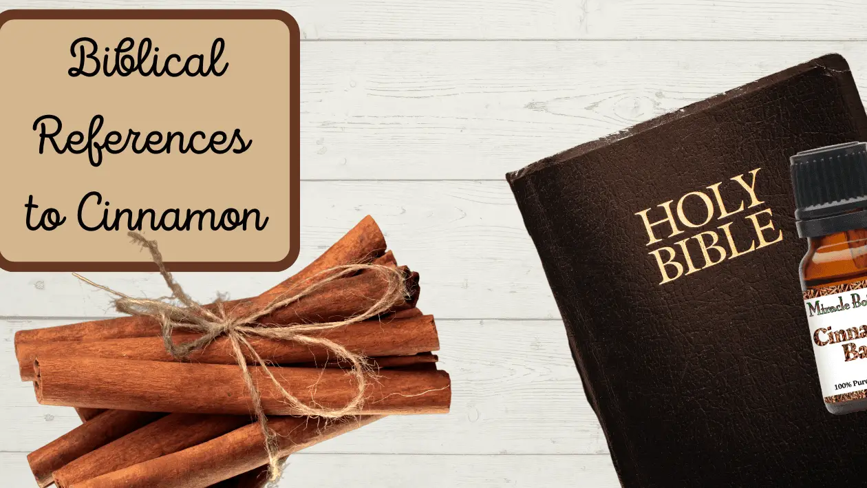 The Biblical Significance of Cinnamon: Unraveling its Spiritual Meaning ...