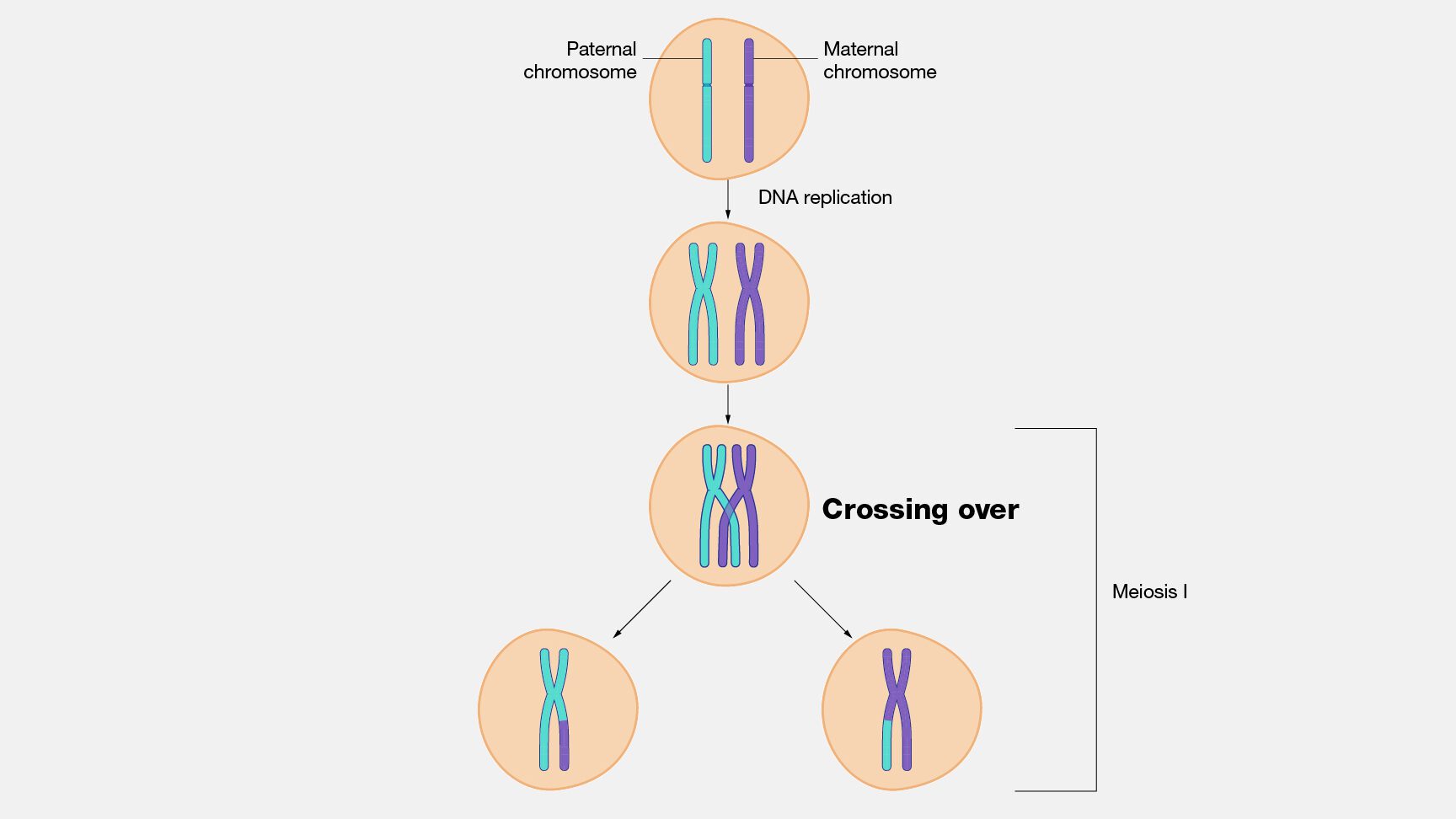 The Biblical Significance of Crossing Over: Exploring its Spiritual ...