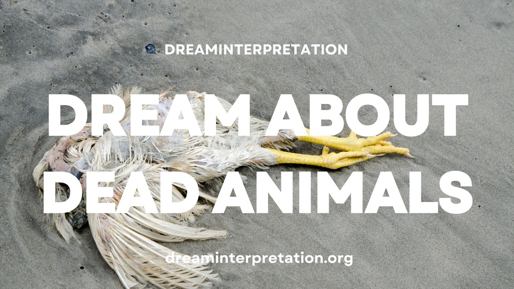 The Spiritual Significance of Dead Animals in Dreams: Unveiling the ...