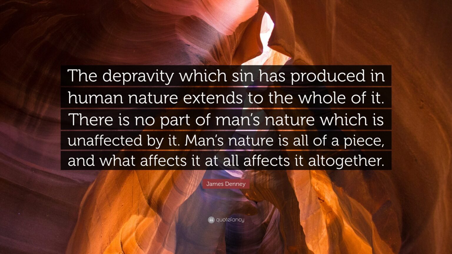 The Biblical Significance of the Myrtle Tree: Unveiling Its Spiritual ...