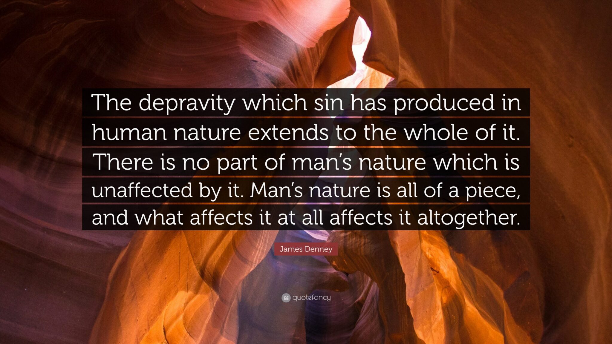 The Biblical Significance of the Myrtle Tree: Unveiling Its Spiritual ...