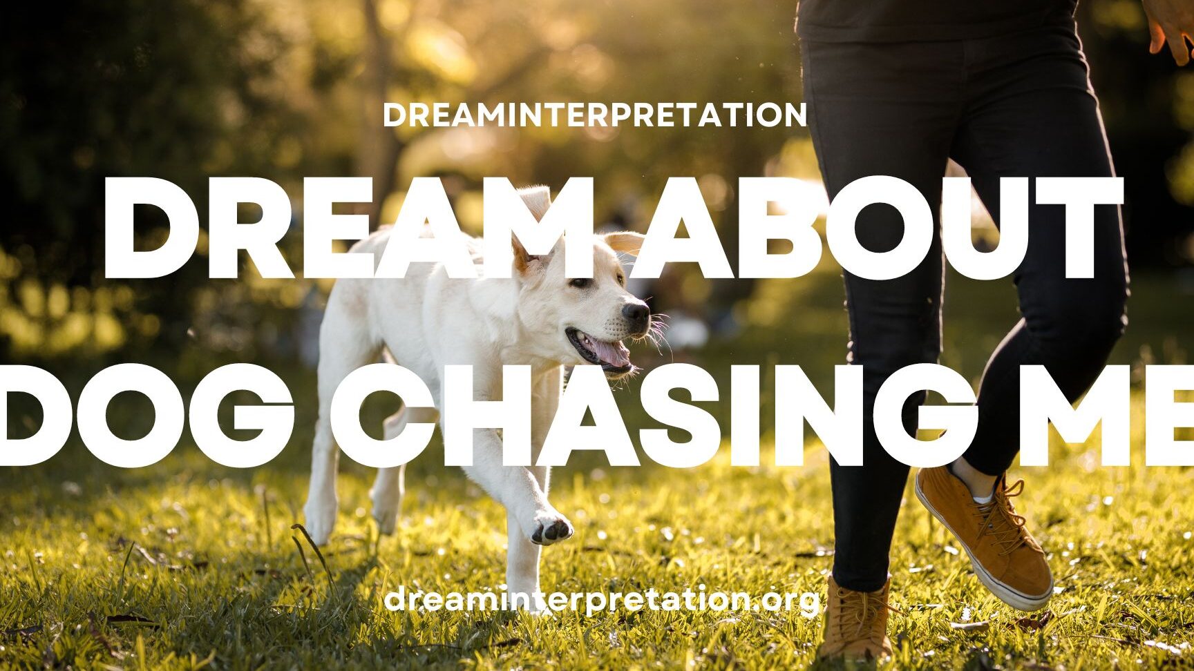 The Spiritual Interpretation of a Dog Chasing You in a Dream: Unveiling ...