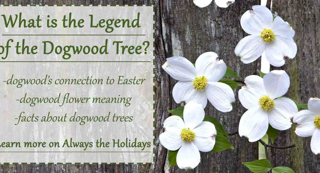 The Spiritual Significance of the Dogwood Tree: Uncovering its Biblical ...