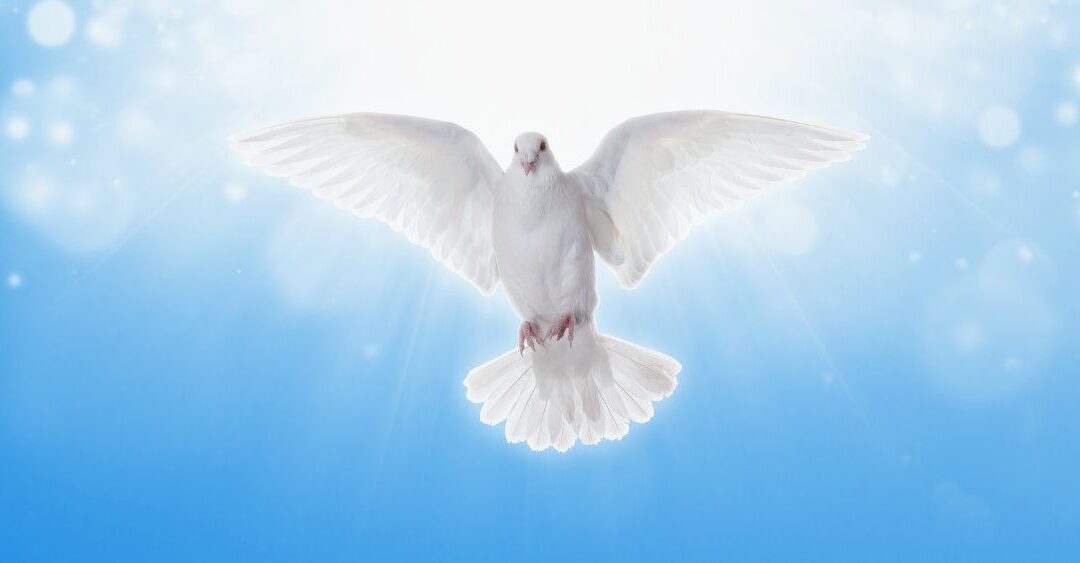 The Significance of Three Doves in the Bible - John Baptist Church