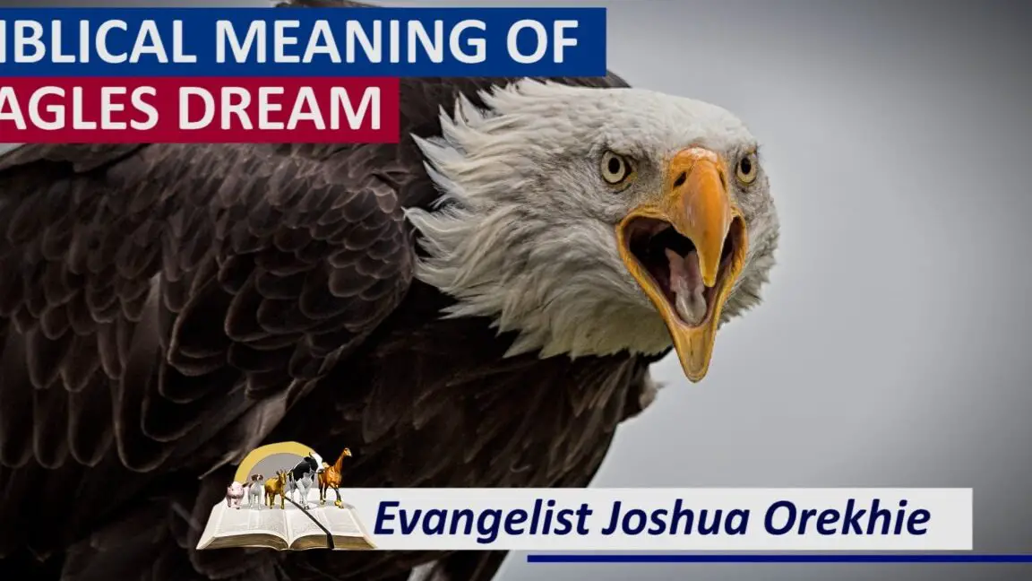 The Spiritual Significance of Eagles in Dreams: Unveiling the Biblical ...