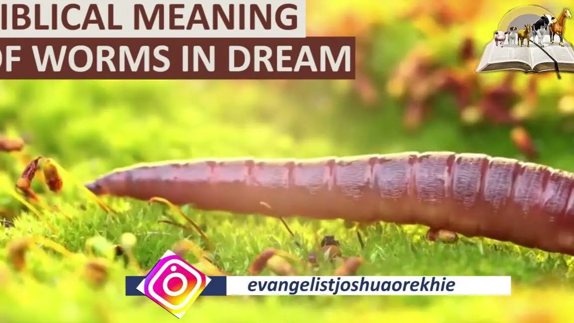 The Spiritual Significance of Earthworms in Dreams: Exploring the ...