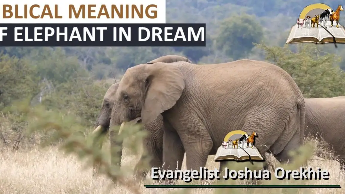 The Spiritual Significance of the Head: Unveiling the Biblical Meaning ...