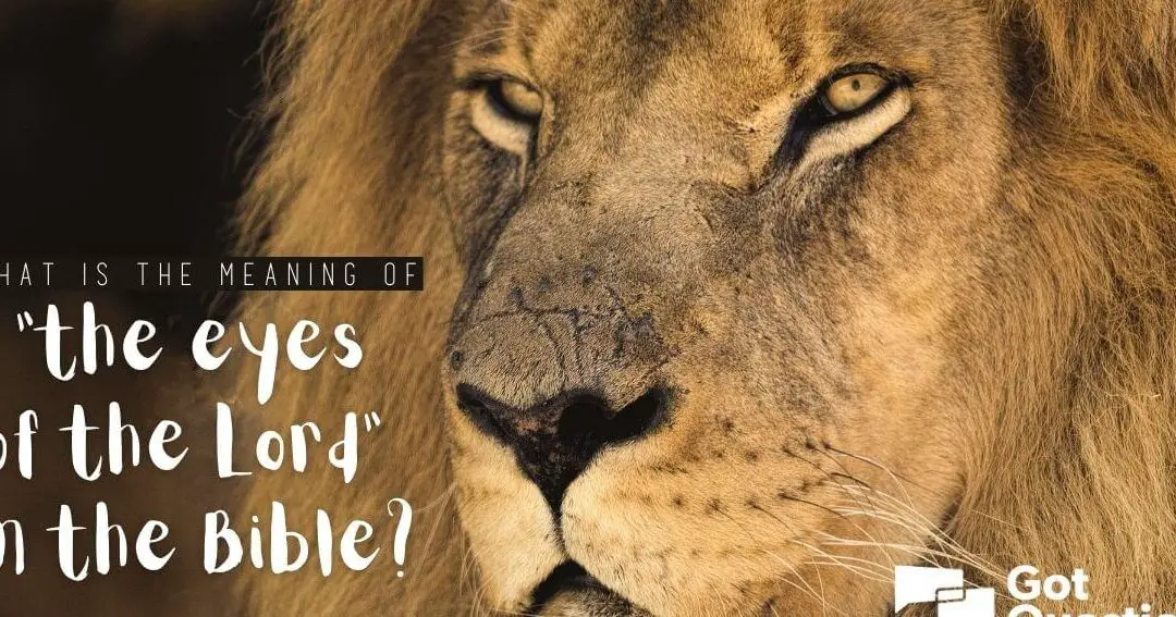 The Spiritual Significance of Eyes in the Bible: Unveiling Biblical ...