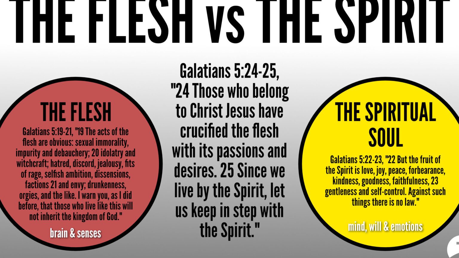 The Spiritual Significance of Flesh in the Bible - John Baptist Church